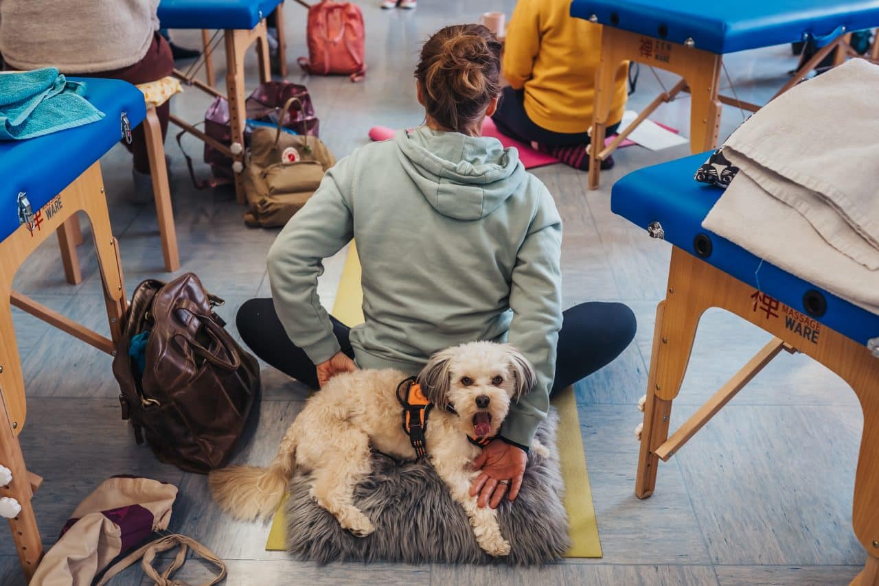 reflexintegration_ausbildungsinhalte | www.claudia-hannemann.de